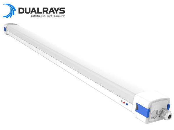 Quality DUALRAYS D5 LED Moisture-proof Light with DIP Switchable Power/3CCT and wiring for sale