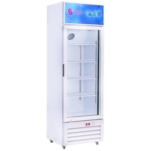 Quality Air Cooled Single Glass Door Freezer Beverages Vegetables One Door Glass Freezer for sale