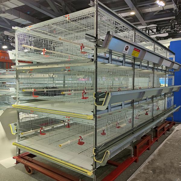 Quality 3-9 Floor Farm Battery Chicken Cage With Automatic System for sale