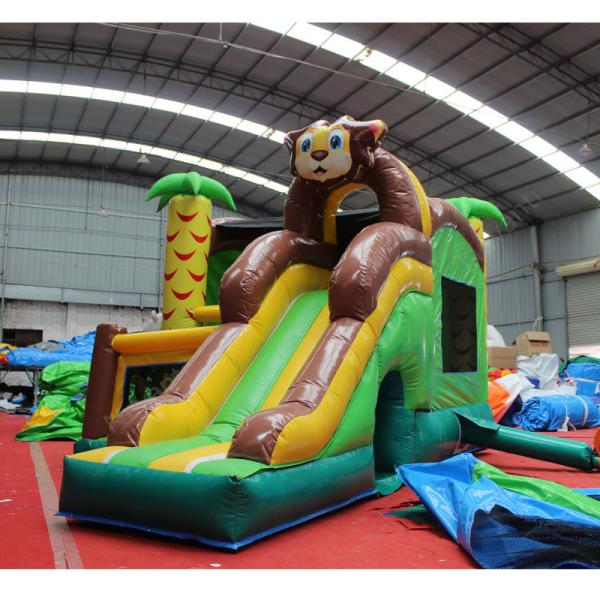 Quality 5-7 Years Age Range Inflatable Bouncy Castle Combo with Customized Color Outdoor for sale