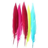 Quality Shipping Worldwide Silver Pheasant Feather for Carnival Costumes and Party for sale