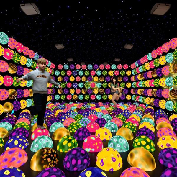 Quality Factory Direct Sale Indoor Cool Jump Space Bouncing Sphere Game for sale