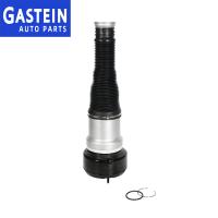 China 2213205513 Rear Strut Replacement For Mercedes Benz W221 factory