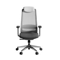 Quality Moded Foam Mesh Revolving Chair Height Adjustable 1140-1235mm for sale