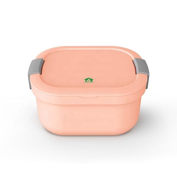 Quality Large Capacity Take Away BPA Free Eco Friendly Food Container with Lid Fork and for sale