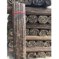 Quality 120cm Raw Bamboo Pole for sale