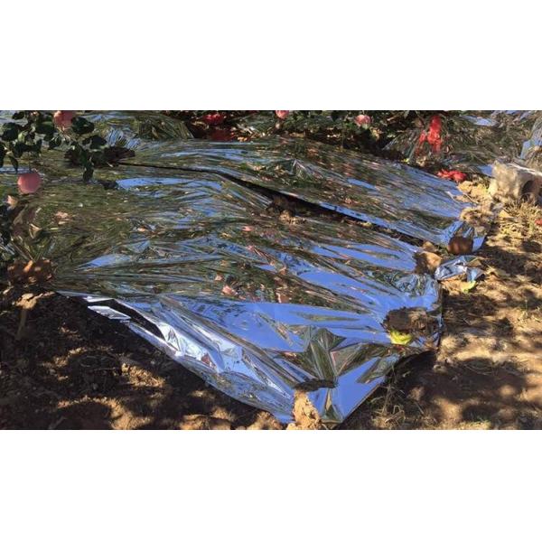 Quality 12 Micron Metalized PE Film For Fruit Tree Greenhouse for sale