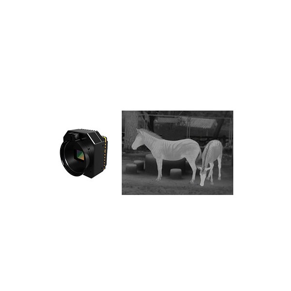 Quality 67g Infrared Detector 8μm-14μm Spectral Range for sale