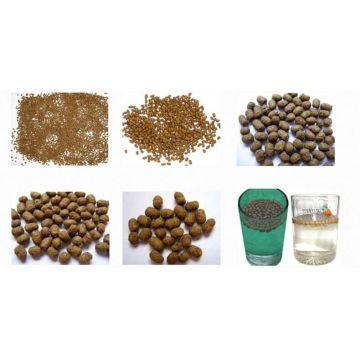 Quality Service in place operation teaching pet food extruder machine for sale