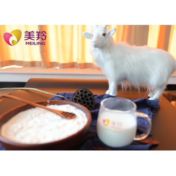 Full Cream Goat Milk Powder - 25kg 100% Natural Instant Dried Sheep ...