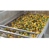 Quality High Effective Small Scale Mango Processing Plant  High Extracting Rate for sale