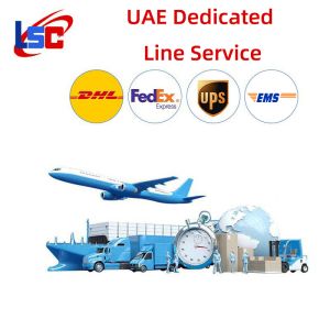 Quality UAE Dedicated Line Shipping Service for sale