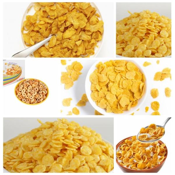 Quality 150kg/H Corn Flakes Making Machine With Alloy Screw for sale