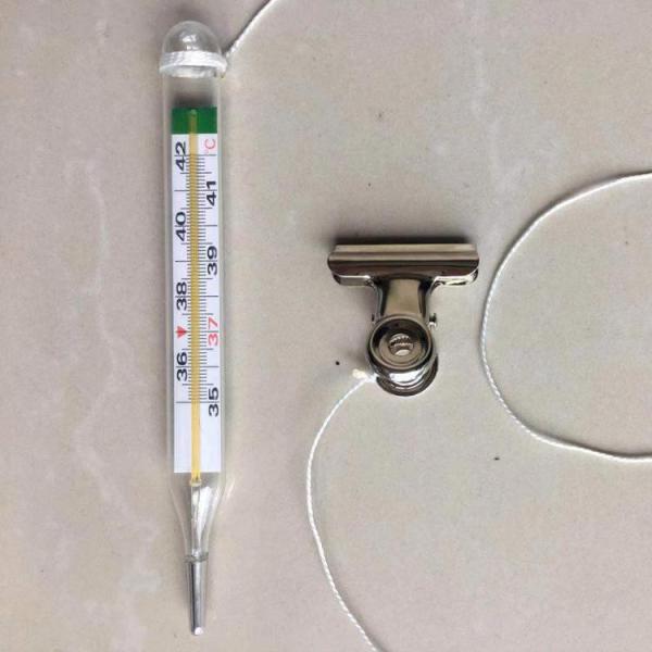 Quality FN-W Customized  Clinical Mercury Free Digital Thermometer in Yellow/blue for sale