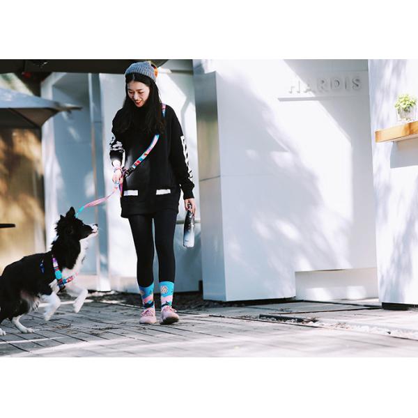 Quality Multifunctional Adjustable Polyester Dog Leash Handsfree Bungee Dog Leash for sale