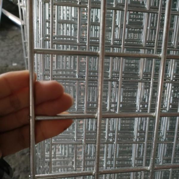 Quality Hot Dipped Galvanized Welded Wire Mesh Panels with Corrosion Resistance and for sale