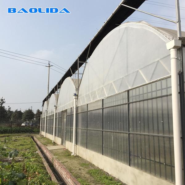 Quality Plastic Shed Multi Span Greenhouse / Agricultural Polythene Grow Tunnel for sale