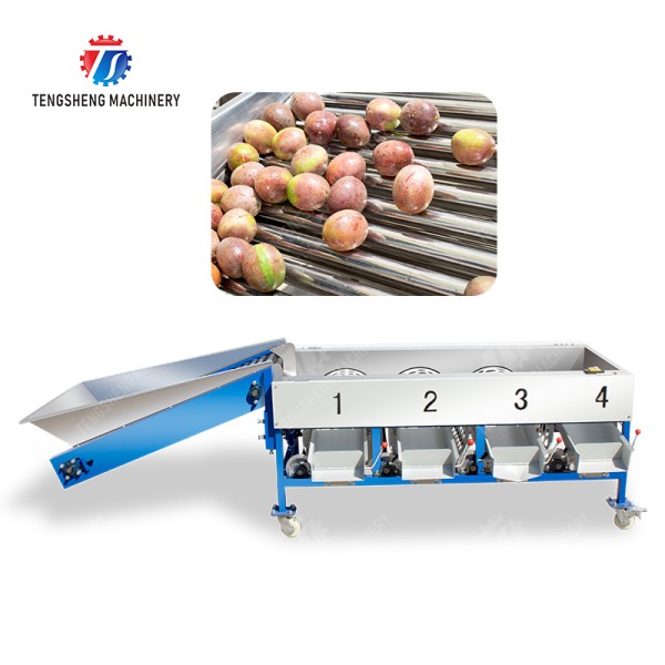 Quality Tangerine passion fruit avocado cherry Mango pear banana mangosteen kiwi fruit Inspecting Grading Transporting processing production Fruit and vegetable sorting machine for sale