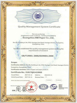 Lightweight Waterproof Customized Printing Decoration 1070D Tyvek Paper For Marathon
