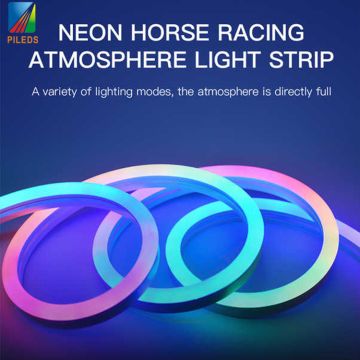 Quality Toxin Free Rgbic Neon Rope Light 16×25mm Environmentally Friendly for sale