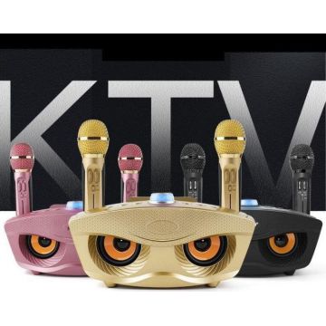 Quality 30W Family Karaoke Multifunctional Wireless Speak With Mic Recorder for sale