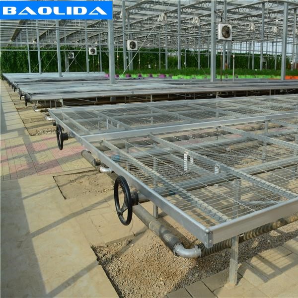 Quality Commercial Seedbed Wire Rolling Greenhouse Benches For Flowers for sale