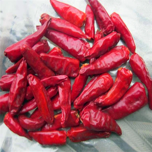 Quality Single Herb Bullet Red Chili with 2% Broken Rate for sale