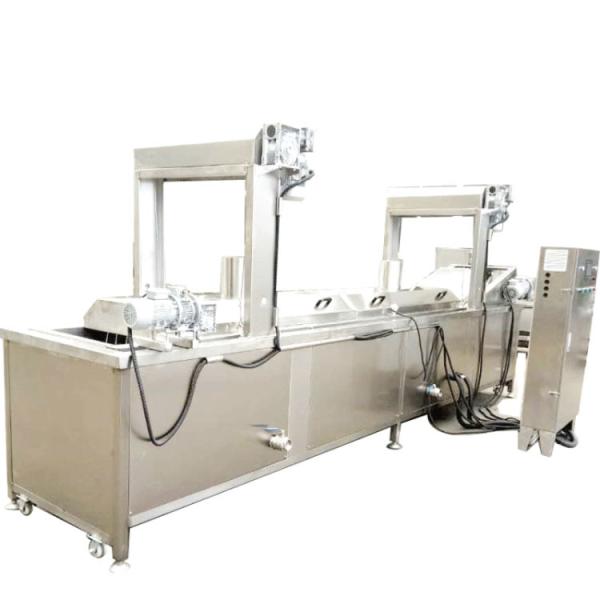 Quality Nonstick LNG Conveyor Belt Cassava 110v Industrial Frying Machine for sale