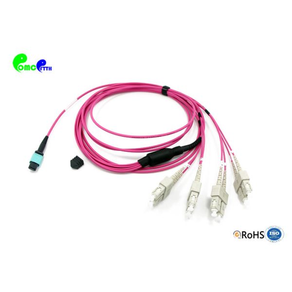 Quality 8F OM4 MPO Trunk Cable MPO Female to SC UPC 8F 50 / 125μm Fanout 2.0mm Magenta 5M Type B for sale