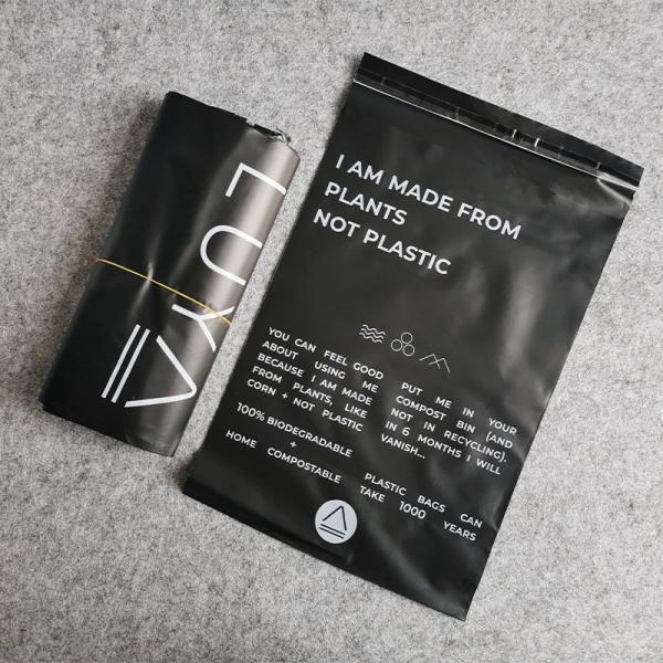 Quality Self Adhesive Seal Biodegradable Shipping Envelopes Eco Friendly Packaging for sale