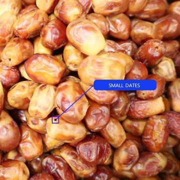 Quality High Accuracy Sorting 98% 6-Lane Palm Dates Sorting Machine With CE MD ISO9001 for sale