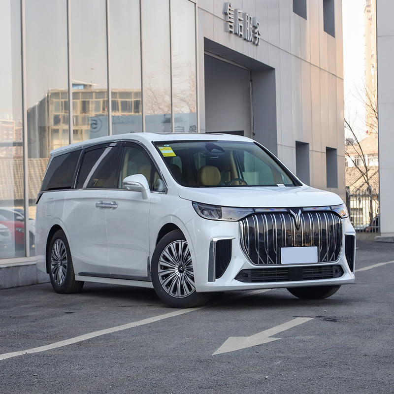 High Speed 2024 Voyah Dream Hybrid White Electric Auto Car MPV Vehicle