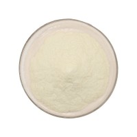 Quality White Konnyaku Jelly Powder Food Additive Glucomannan Fiber Supplement for sale