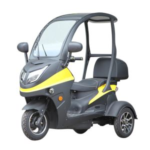 Quality outdoors 3 wheels electric scooters 800W electric tricycle with EEC COC for sale