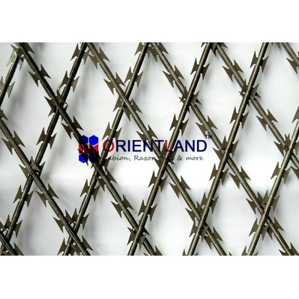 Quality High Tensile Core Security Razor Wire Fence 0.45mm Blade Thickness Difficult To for sale