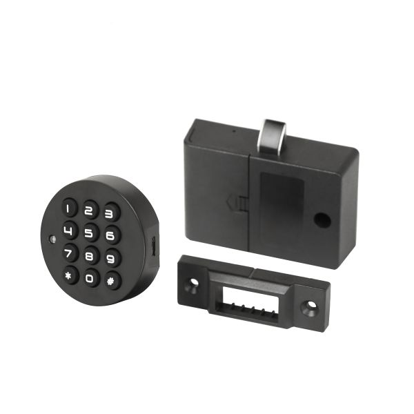 Quality Cabinet Fingerprint Door Lock with 2 Working Modes and Customized Logo for sale