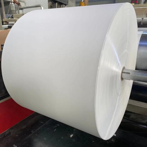 Quality Flexographic Plastic Coated Paper Roll 160 Gram Paper Cup Raw Material for sale