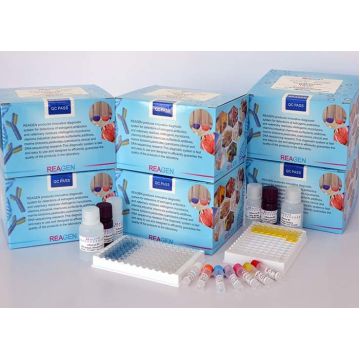 Quality High Sensitivity AflaPure M1 Kit For Downstream HPLC And ELISA Analysis for sale