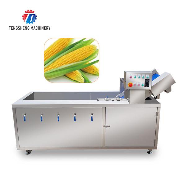 Quality 2.6KW Impurity Filter Fruit And Vegetable Washing Machine Citrus Apple for sale