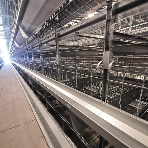 Quality 4 Floors Battery Chicken Cage Equipment for sale