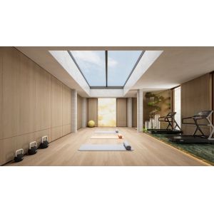 Quality LARGE-ANGLE BI-FOLD SKYLIGHT for sale