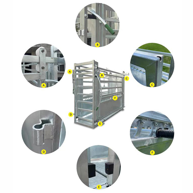 Professional galvanized steel cattle crush for safe and efficient livestock handling. Features adjustable restraints, durable construction, and smooth operation for veterinary work and farm management