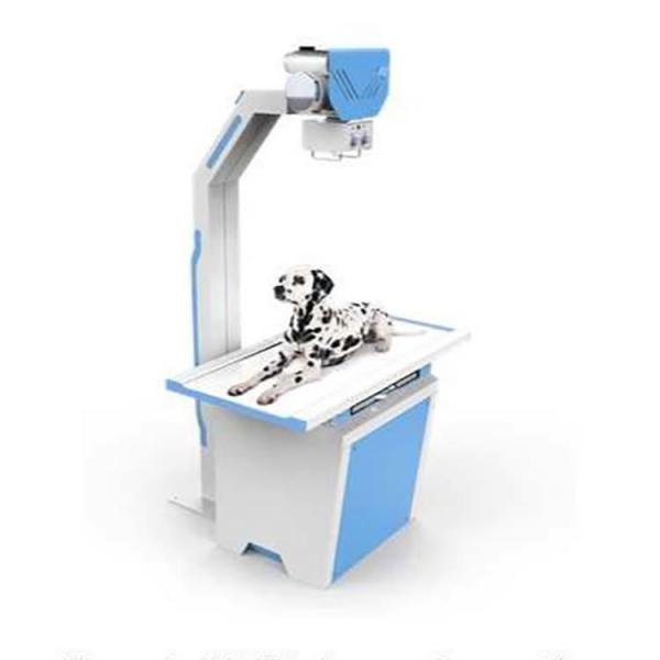 Quality Best Sell Direct X-ray Machine Veterinary X-ray Machine for sale