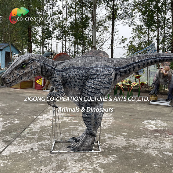 Quality Wearable Velociraptor Animatronic Dinosaur Costume: Lifelike Performance for sale