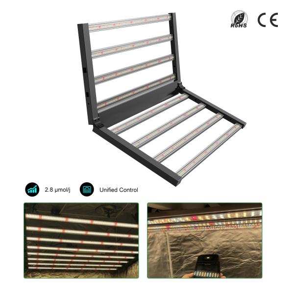 Quality 720W LED Plant Light Full Spectrum For Hydroponic Growing Systems for sale