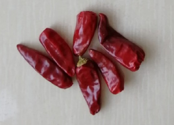 Quality Chaotian Round Dried Red Chillies 6CM 30000SHU Whole Chilli Pods for sale
