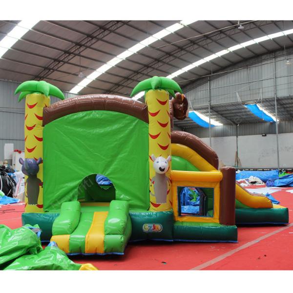 Quality 5-7 Years Age Range Inflatable Bouncy Castle Combo with Customized Color Outdoor for sale