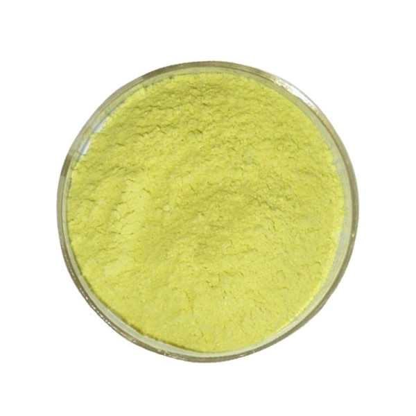 Quality 99% Pure Quercetin Dihydrate Powder Natural Sophora Japonica Extract CAS 6151-25-3 for sale