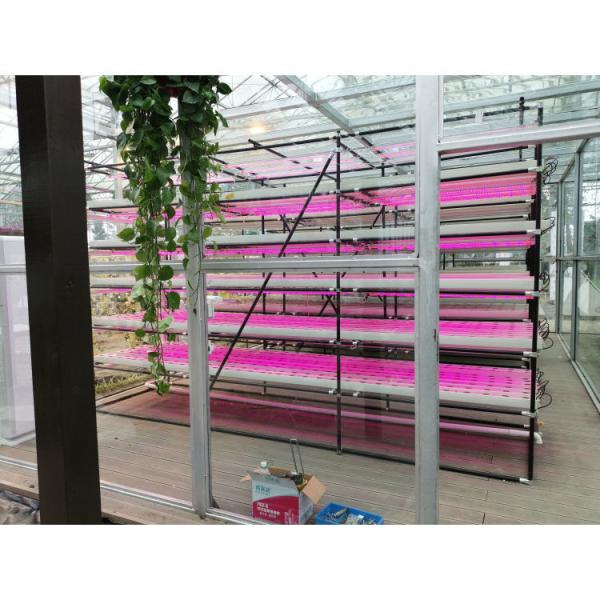 Quality Greenhouse Agriculture Iot Vertical Factory For Modern Agriculture for sale