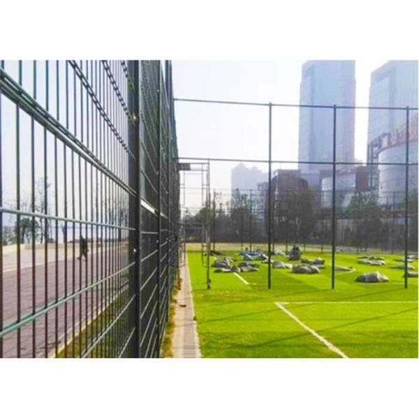 Quality Powder Coated Mesh Fencing L3000mm Double Wire Welded Fence 55X200 for sale